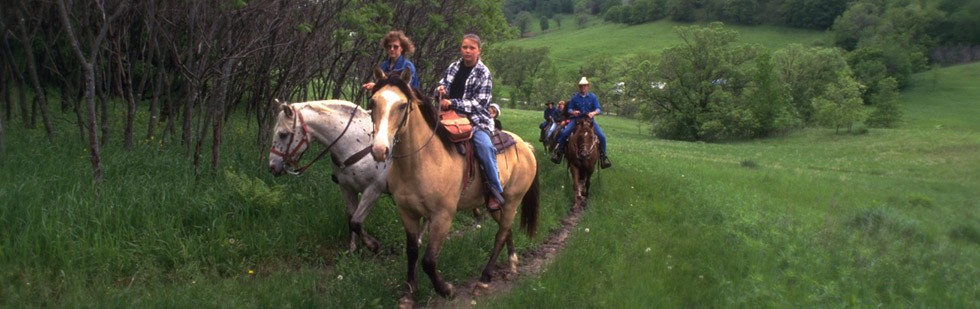 Horseback Riding - Driftless Wisconsin