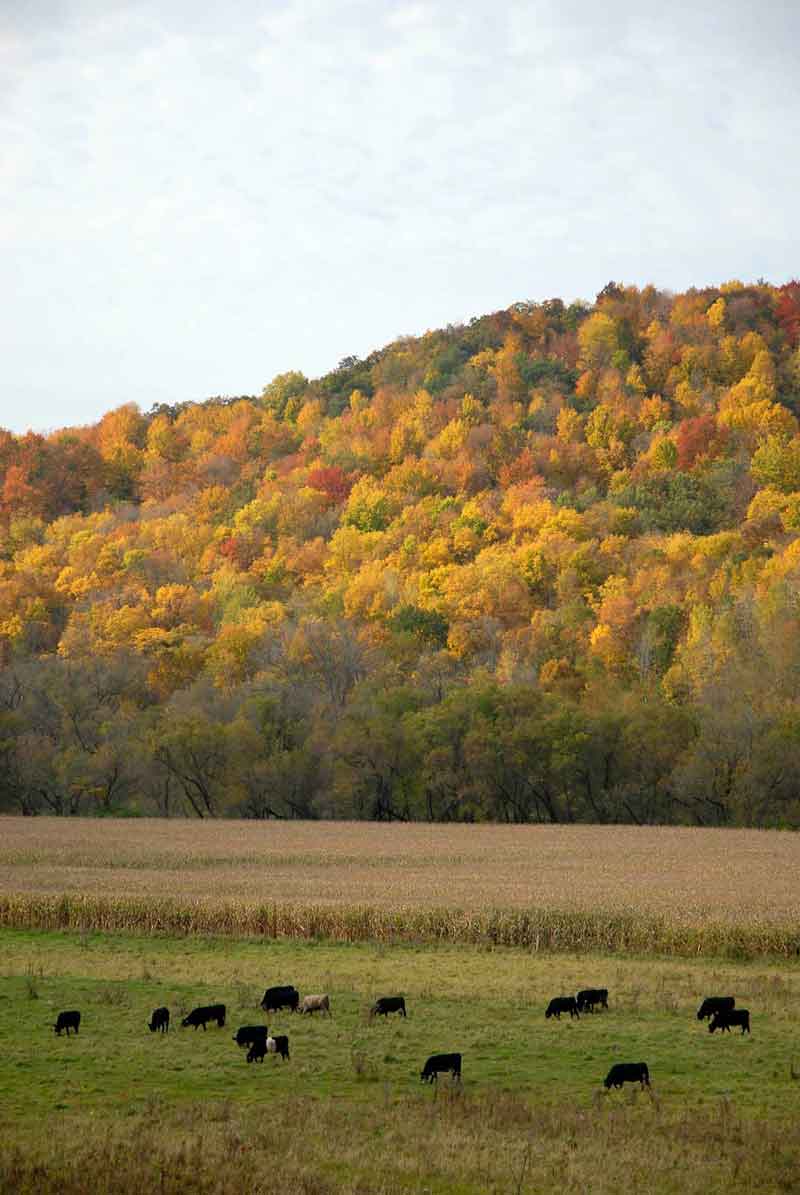 Wisconsin Road Tours - Driftless Wisconsin