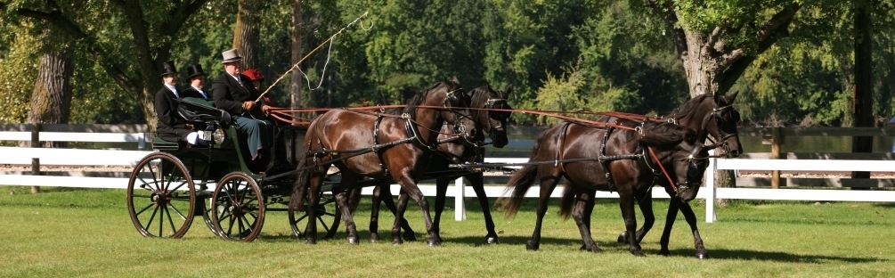 Things to Do in the Driftless Area of Wisconsin - Driftless Wisconsin