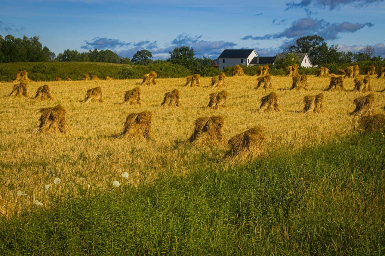 Amish Country of the Driftless - Driftless Wisconsin