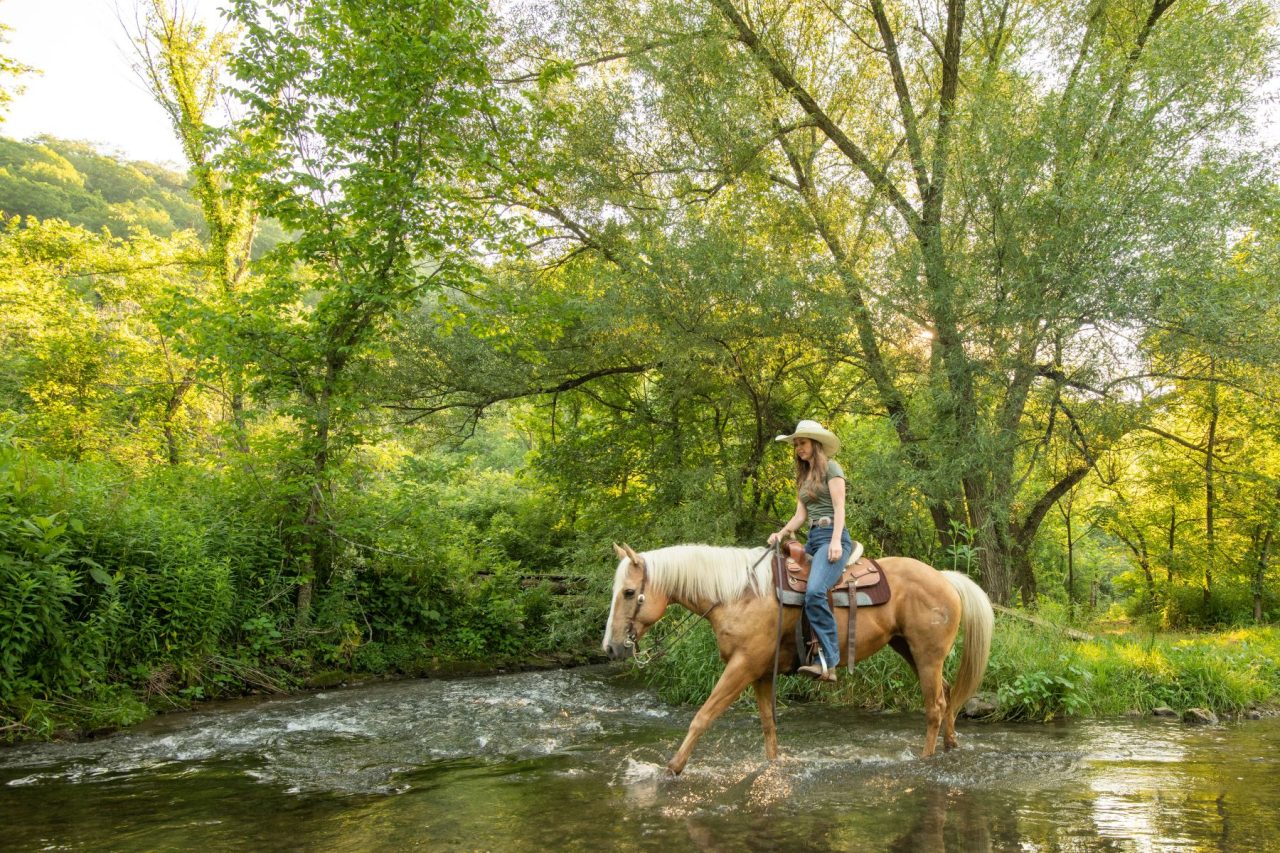 Explore - Driftless Wisconsin